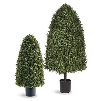 Rounded Cone Outdoor Boxwood Topiary | Frontgate