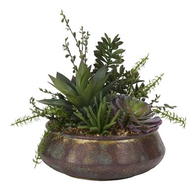Aloe and Jade Plant in Aged Bowl | Frontgate