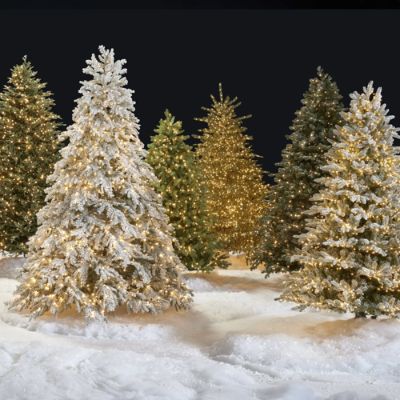 Christmas Decorations & Holiday Decor | Frontgate