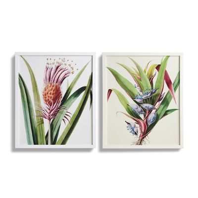 Exotic Flora Art Collection from the New York Botanical Garden Archives ...