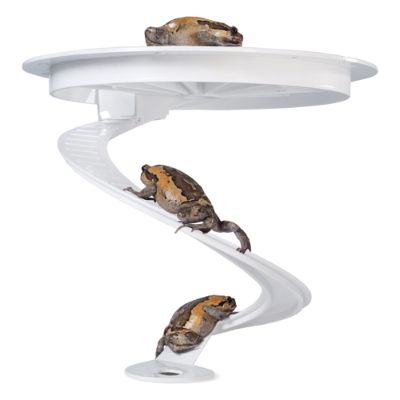 Critter Skimmer | Frontgate