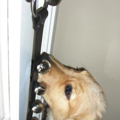 Tinkle Bell Training Device Frontgate
