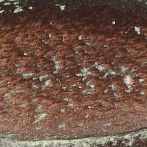 Outdoor Garden Hose Reels & Storage Cabinets | Frontgate